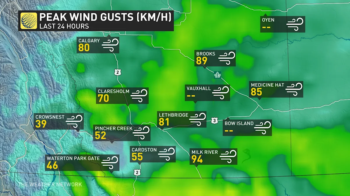 Relief, at last: Why Alberta welcomes 80 mm of rainfall this week - The ...
