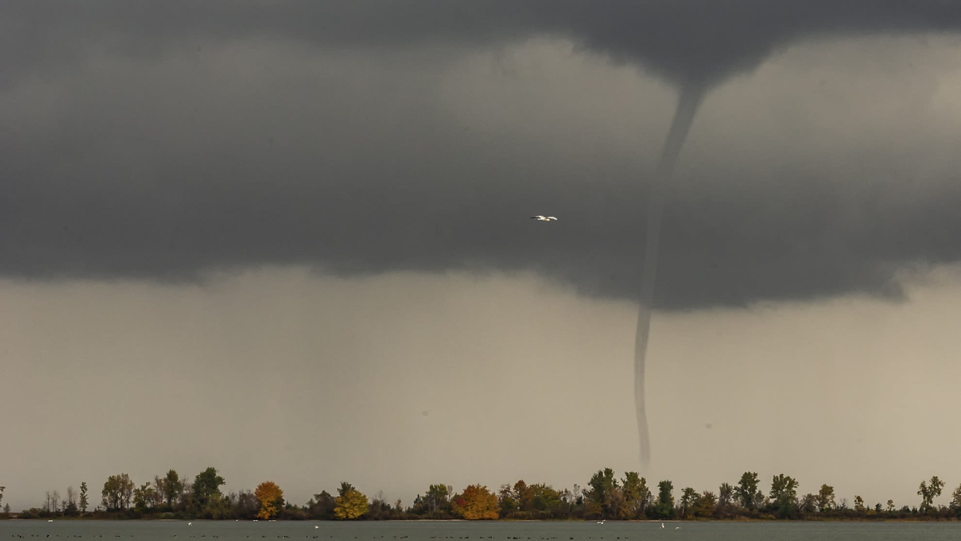 Ontario on waterspout watch this weekend - The Weather Network