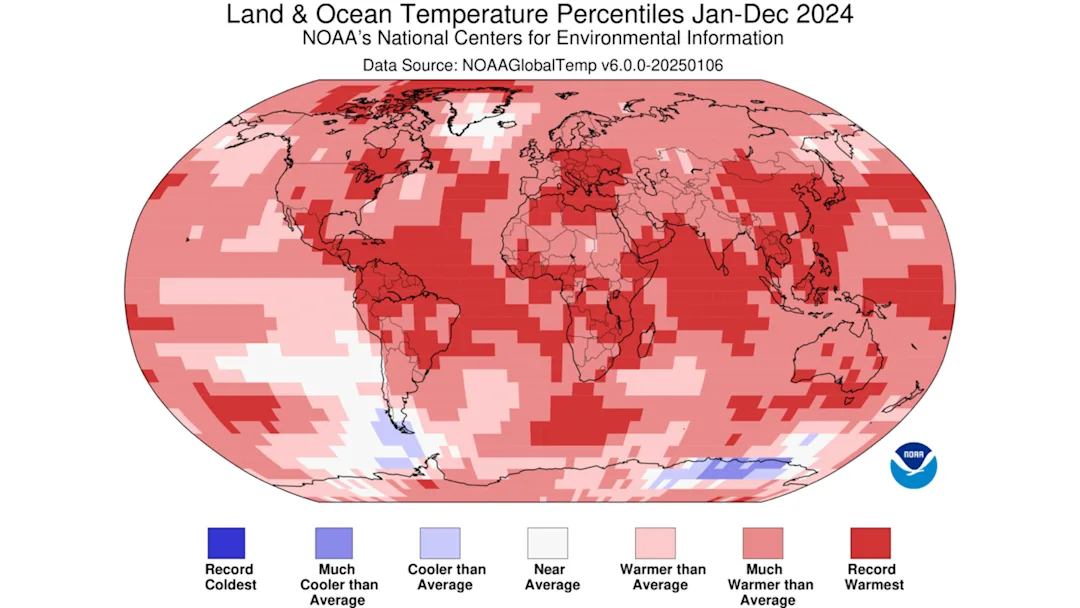 2024 is the new hottest year on record, first year to exceed 1.5C - The ...