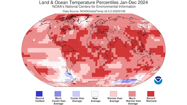2024 is the new hottest year on record, first year to exceed 1.5C - The ...