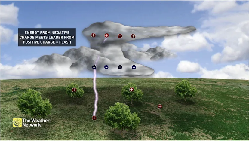 What really happens inside you when you're hit by lightning? - The ...