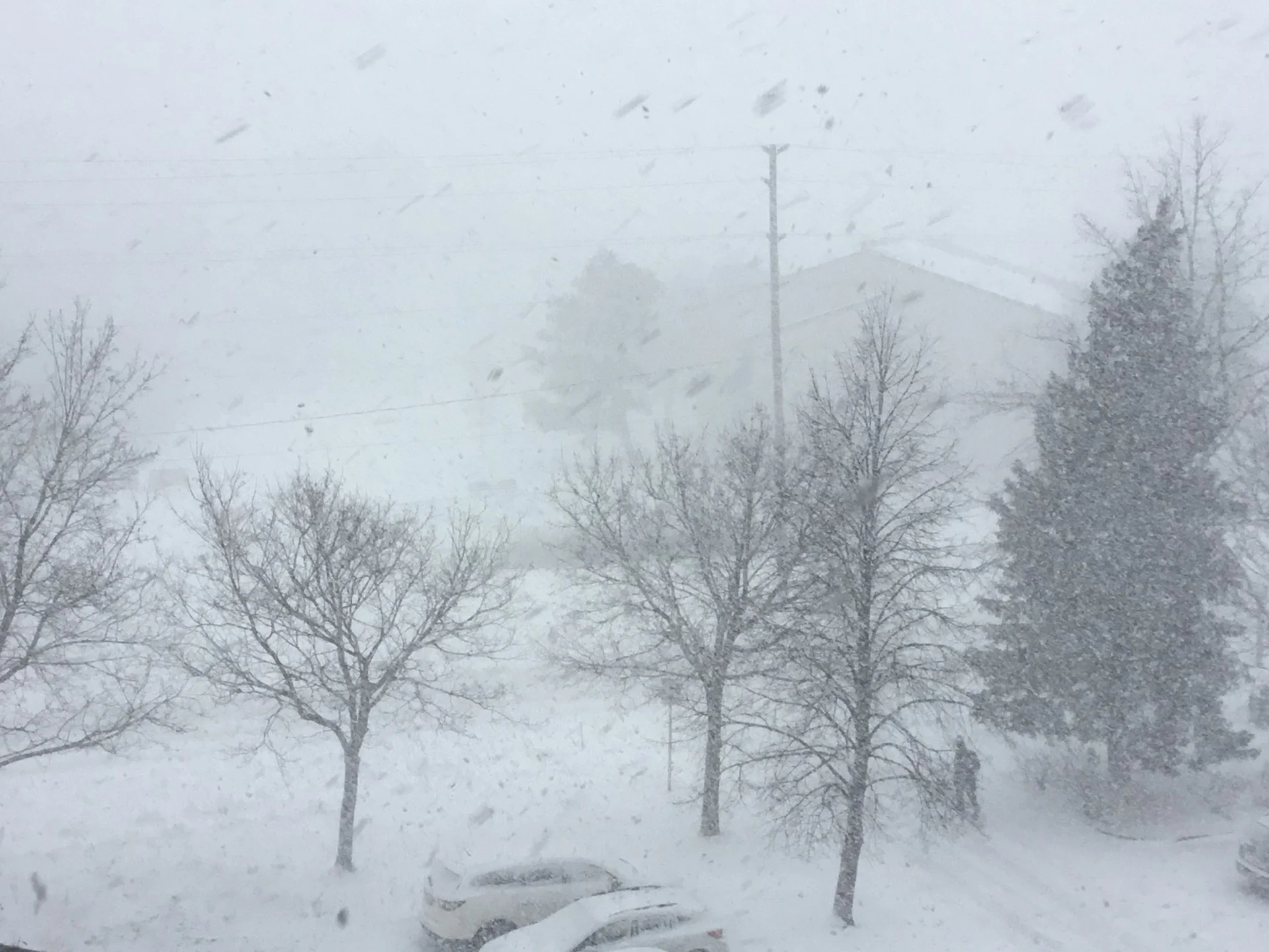 PHOTOS: Snow squalls remnant of winter storm bury parts of southern ...