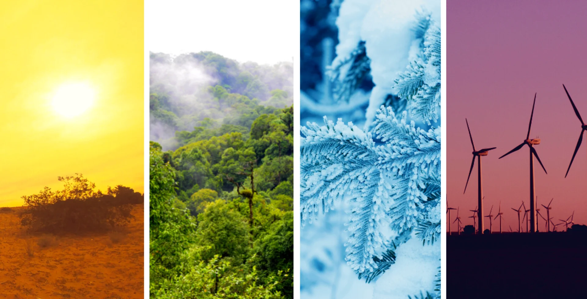 It's Friday the 13th! Let's take a look at some weather phobias - The ...