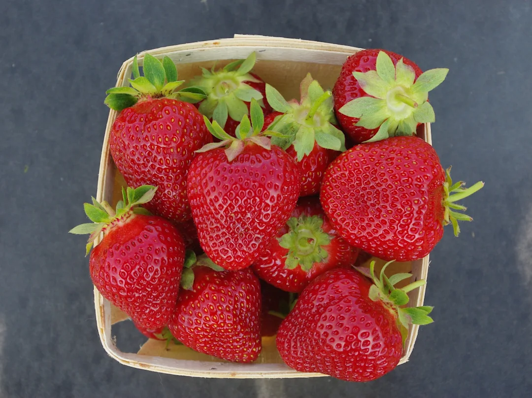 New strawberry types are guaranteed to sweeten your taste buds - The ...