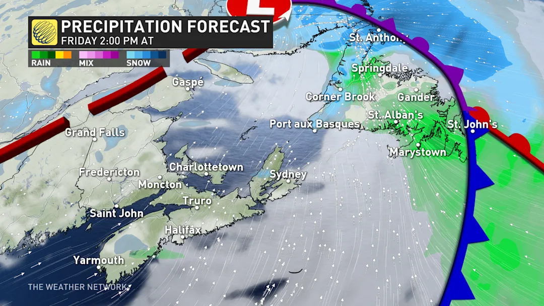 Wicked winds tear through Newfoundland, big snow on the doorstep this ...