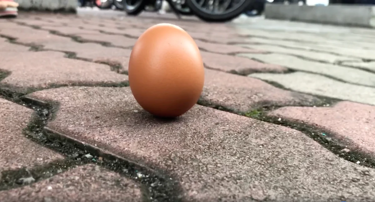Egg-standing test goes viral during ‘Ring of Fire’ solar eclipse - The ...