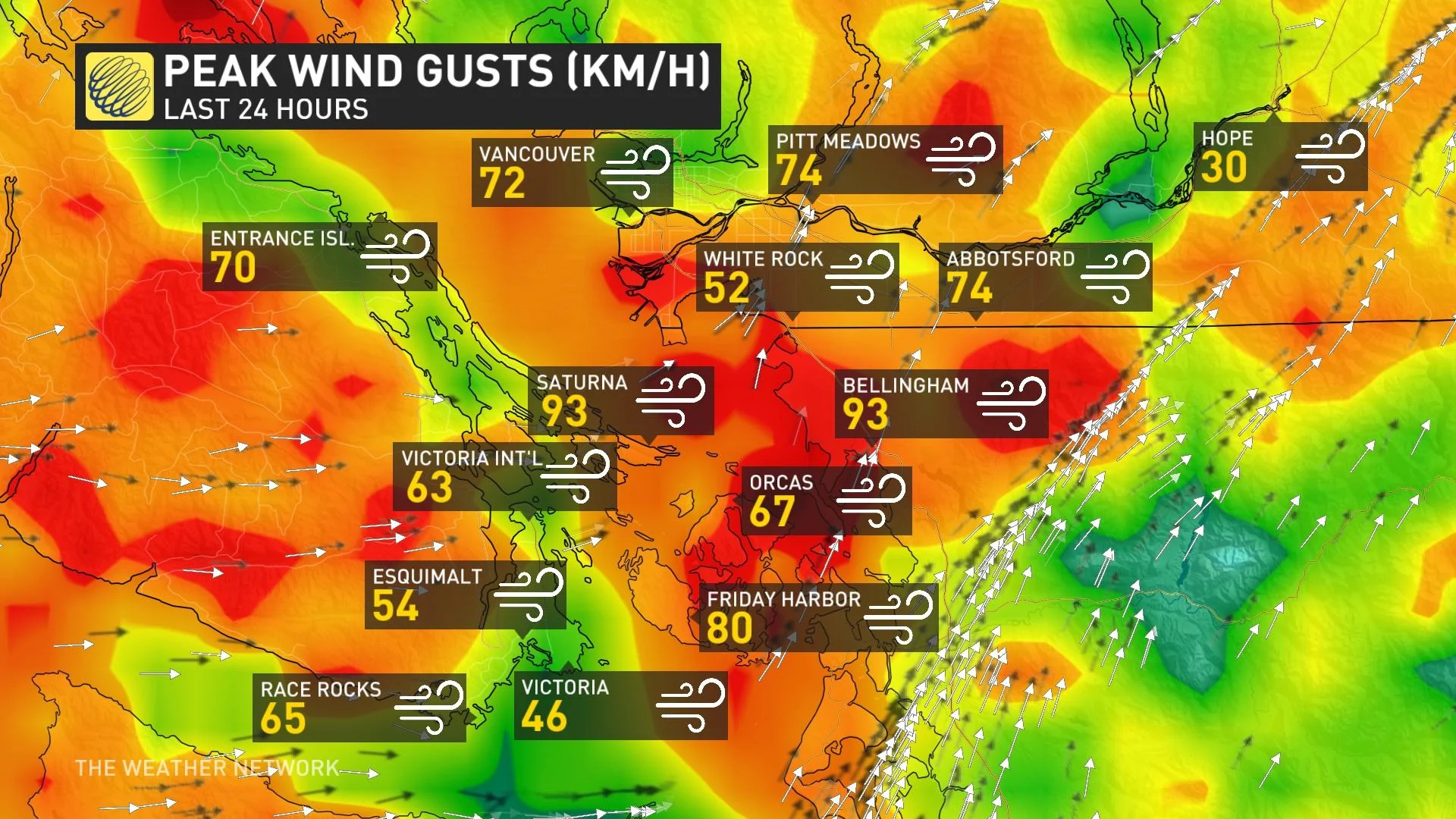 PHOTOS: Winds bring major power outages in B.C. amid disruptive storm ...