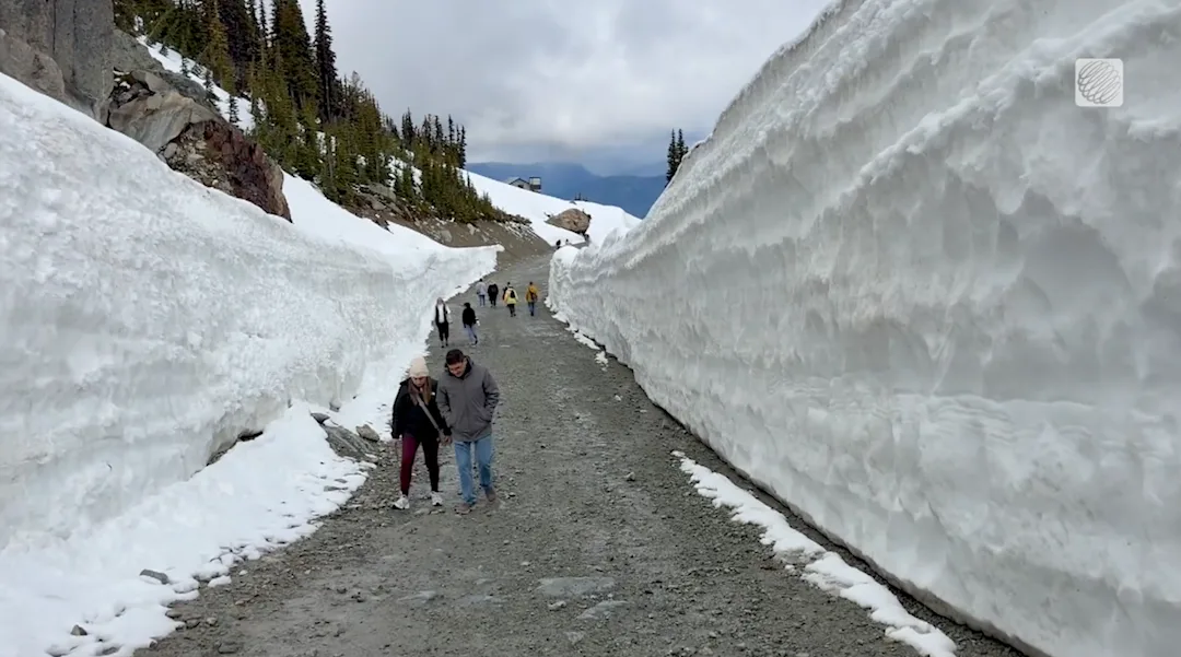 10-foot towers of snow: Journey through these famous Canadian giants ...