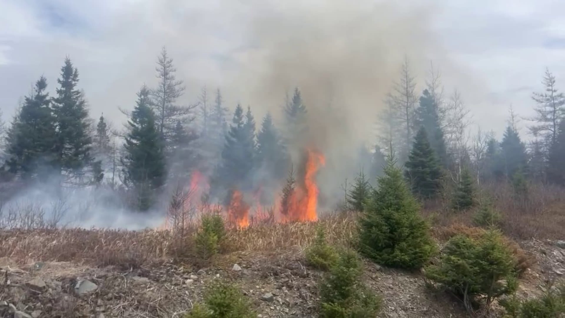 Fire crews responding to wildfire near Badger Lake - The Weather Network