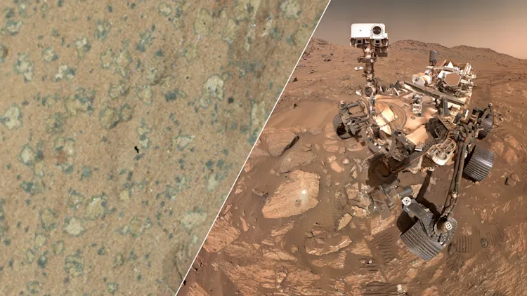 Potential signs of ancient life found in Mars rock sampled by ...