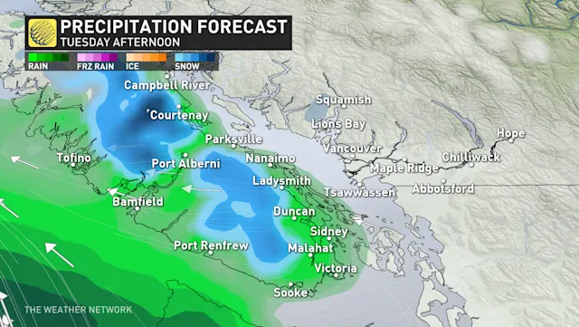 Strong bomb cyclone threatens wicked winds and outages over B.C. this ...