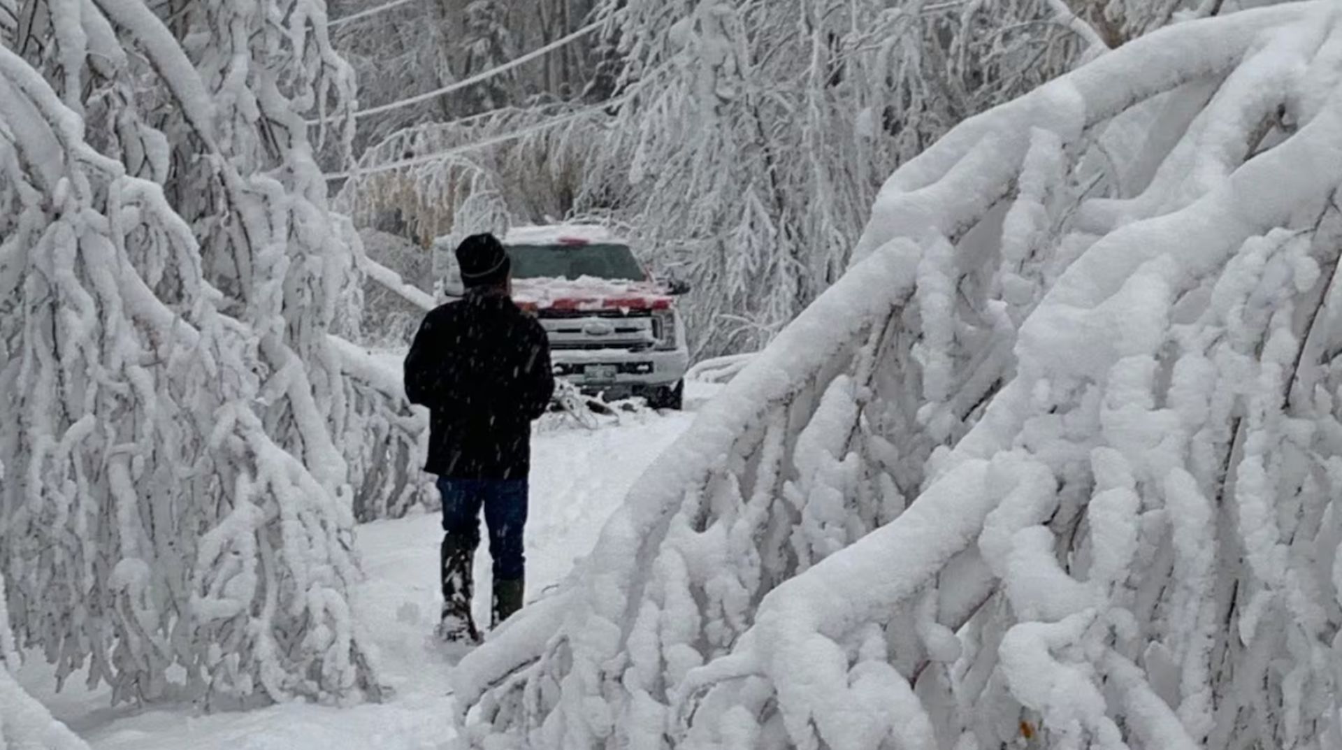 Pimicikamak Cree Nation's power in Manitoba was restored after 4 days ...