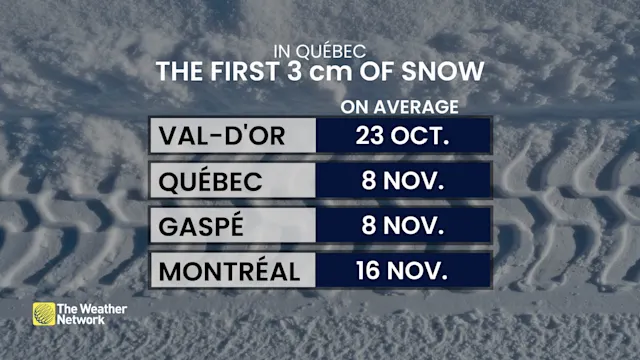 Winter tires: Don't be caught off guard in Quebec - The Weather Network