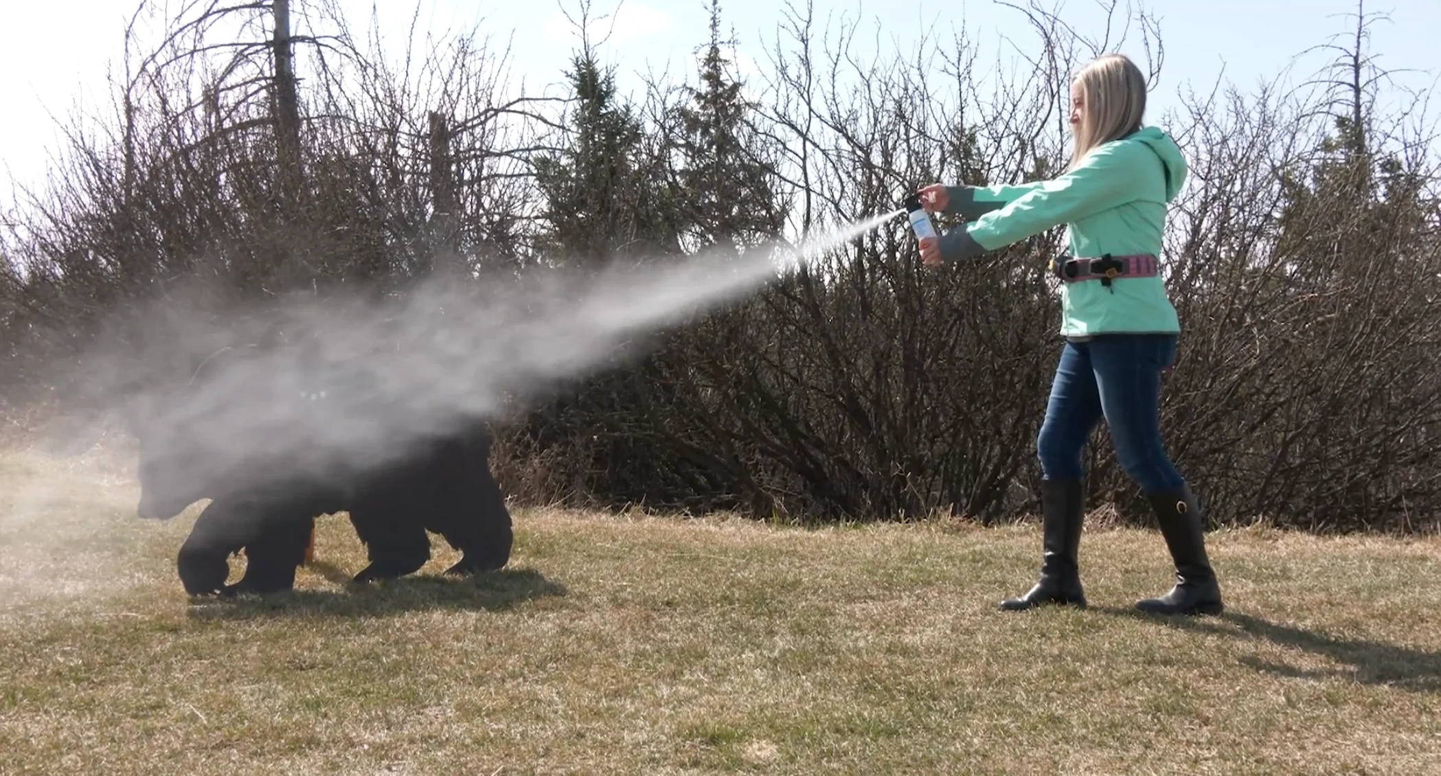Bears are emerging: How to properly use bear spray - The Weather Network