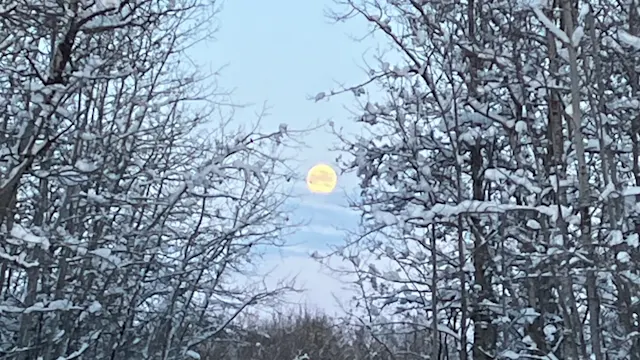 Look up tonight to see February's Full Snow Moon - The Weather Network