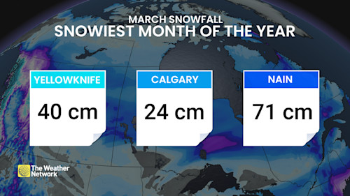 Spring fever hits Canada in March, but snowstorms still lurk - The ...