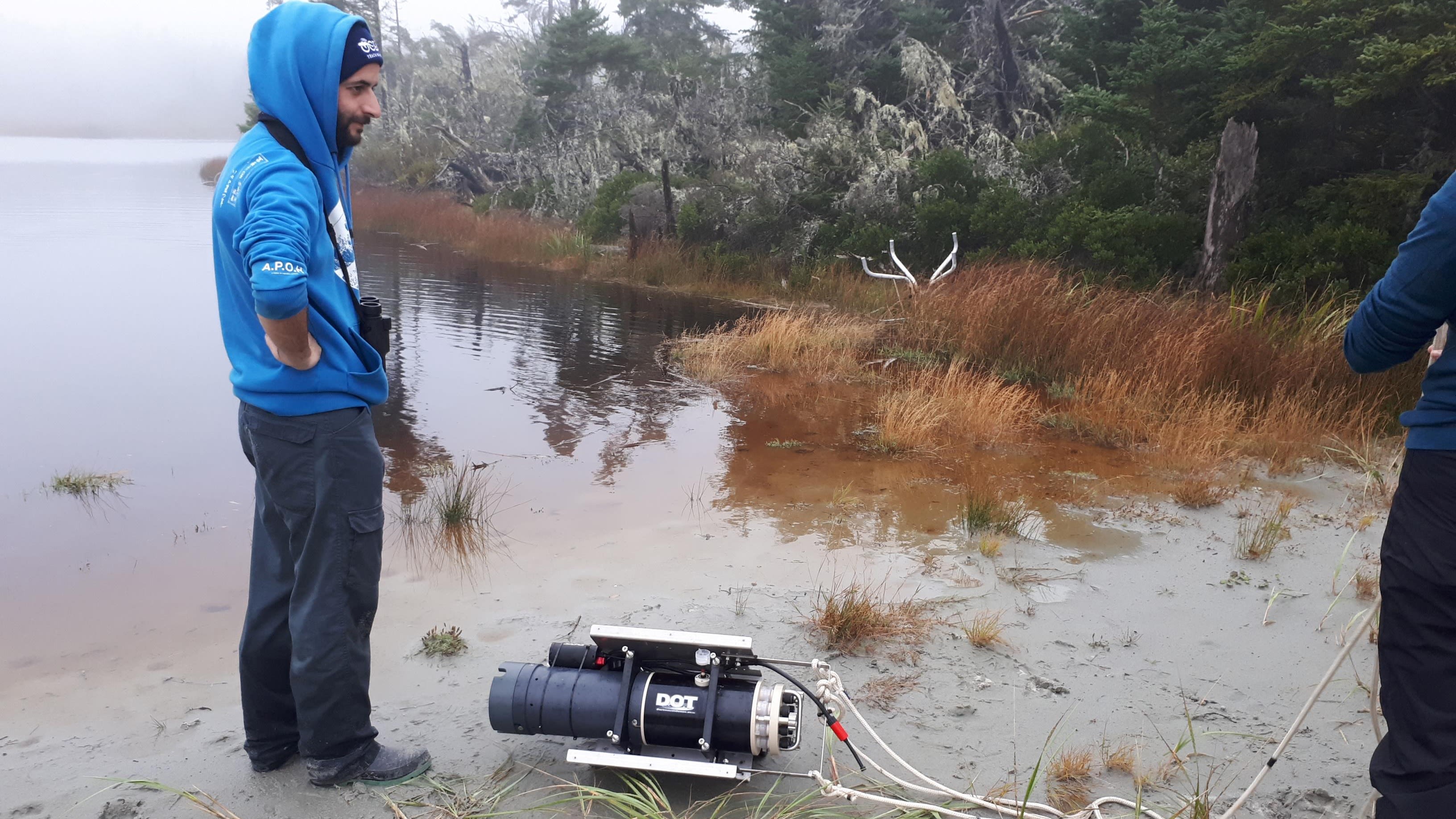 Monitoring human impacts on the ocean just got easier and cheaper - The Weather Network