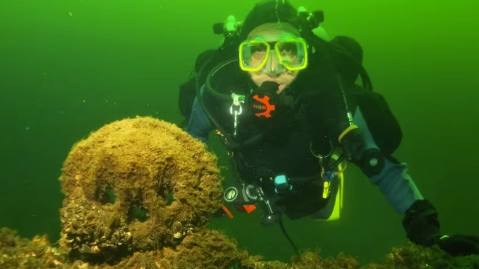 Life finds a way: Your pet goldfish is bulking up in Lake Erie this ...