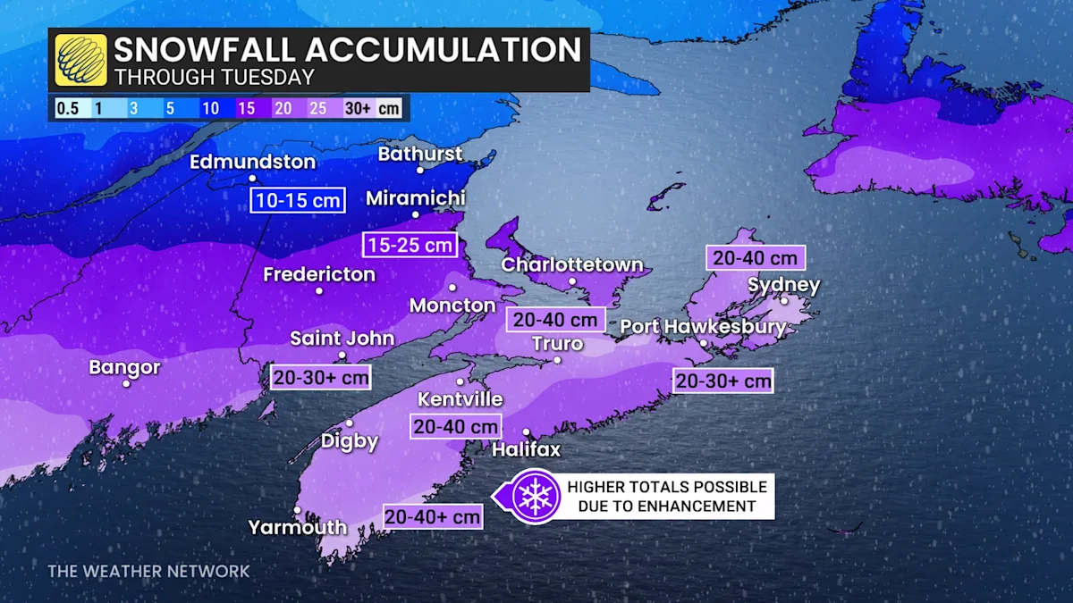 Cancellations and closures pile up as large snow storm hits N.S. - The ...