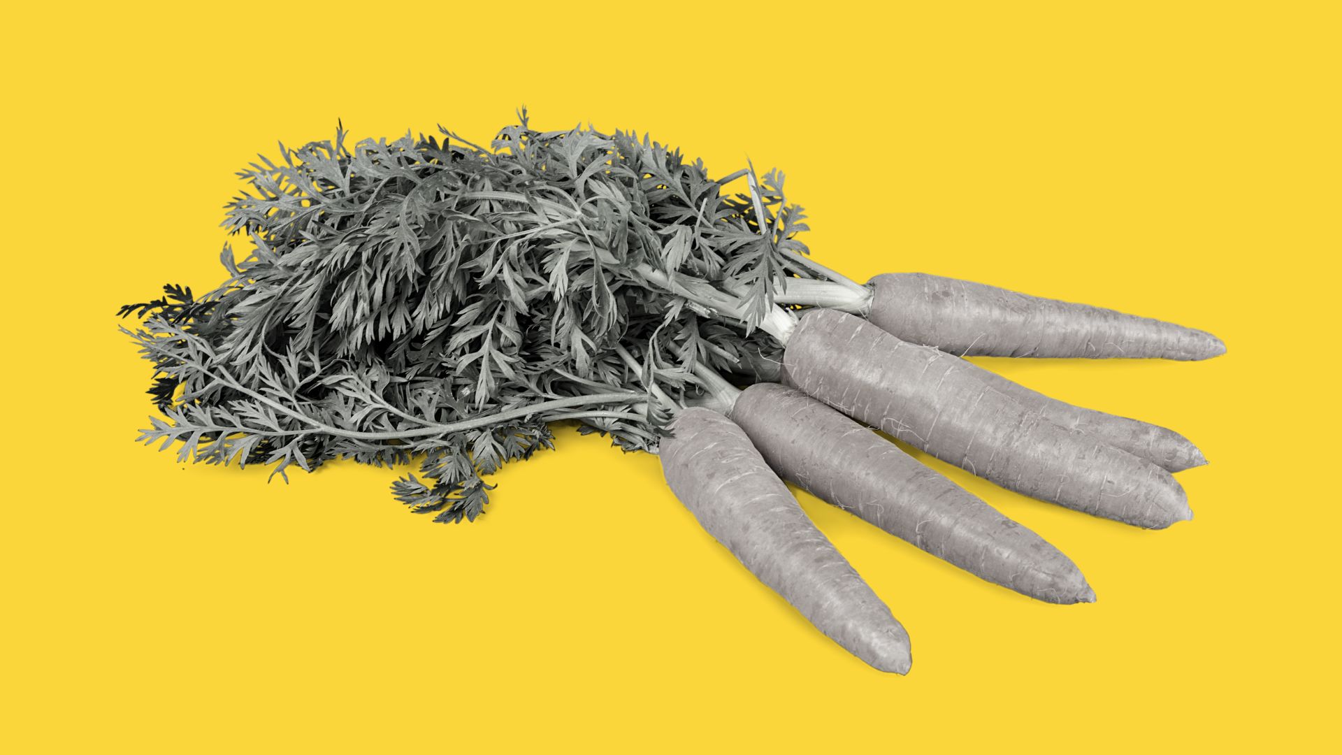 63% of Canadian household food waste is avoidable, costing $1,300 ...