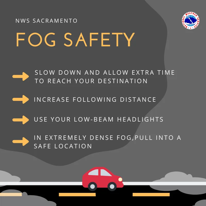 Heavy fog blamed for serious crashes in Louisiana, Ontario - The ...