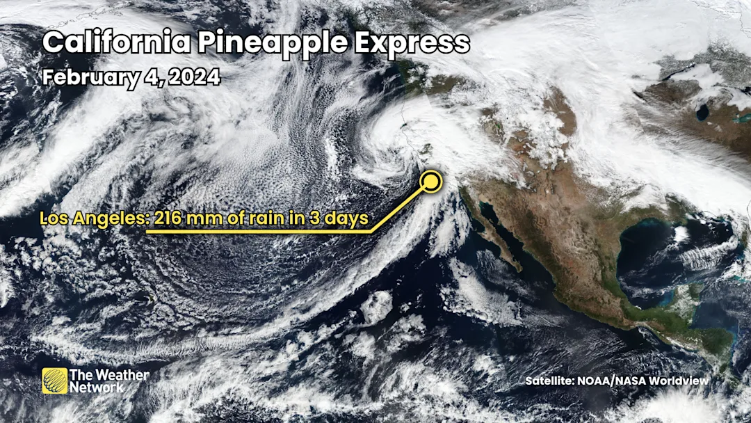 What’s a Pineapple Express? Diving into this robust atmospheric river ...