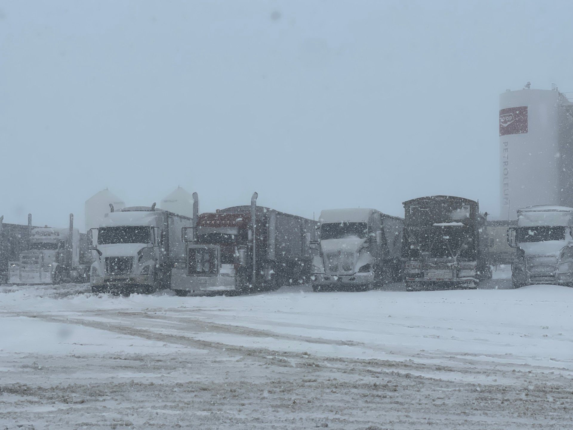 Saskatchewan gears up for first major snowfall, driving woes - The ...