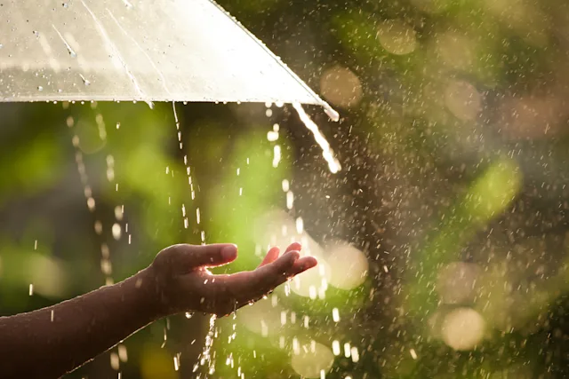 Why we love the smell of rain - The Weather Network