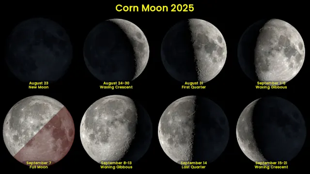 Look up! The Full Corn Moon rises Sunday night - The Weather Network