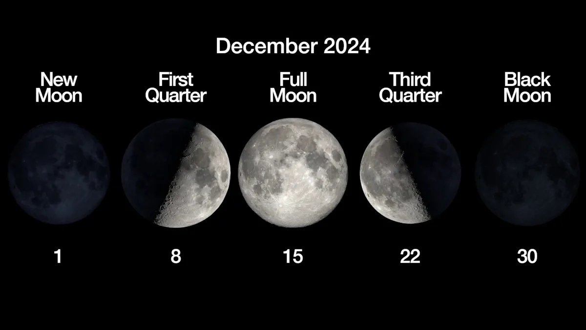 Look up! What's going on in the December night sky? - The Weather Network