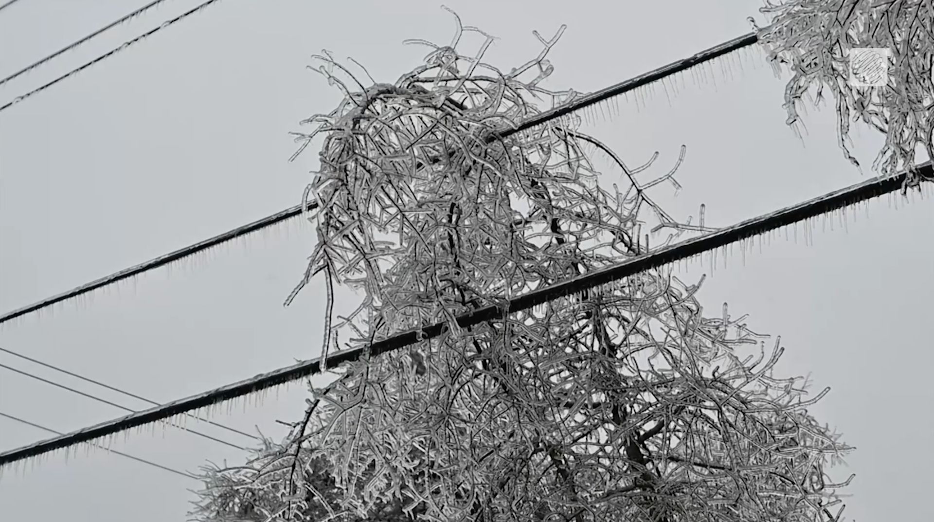How Nova Scotia Power uses AI technology to combat power outages - The ...