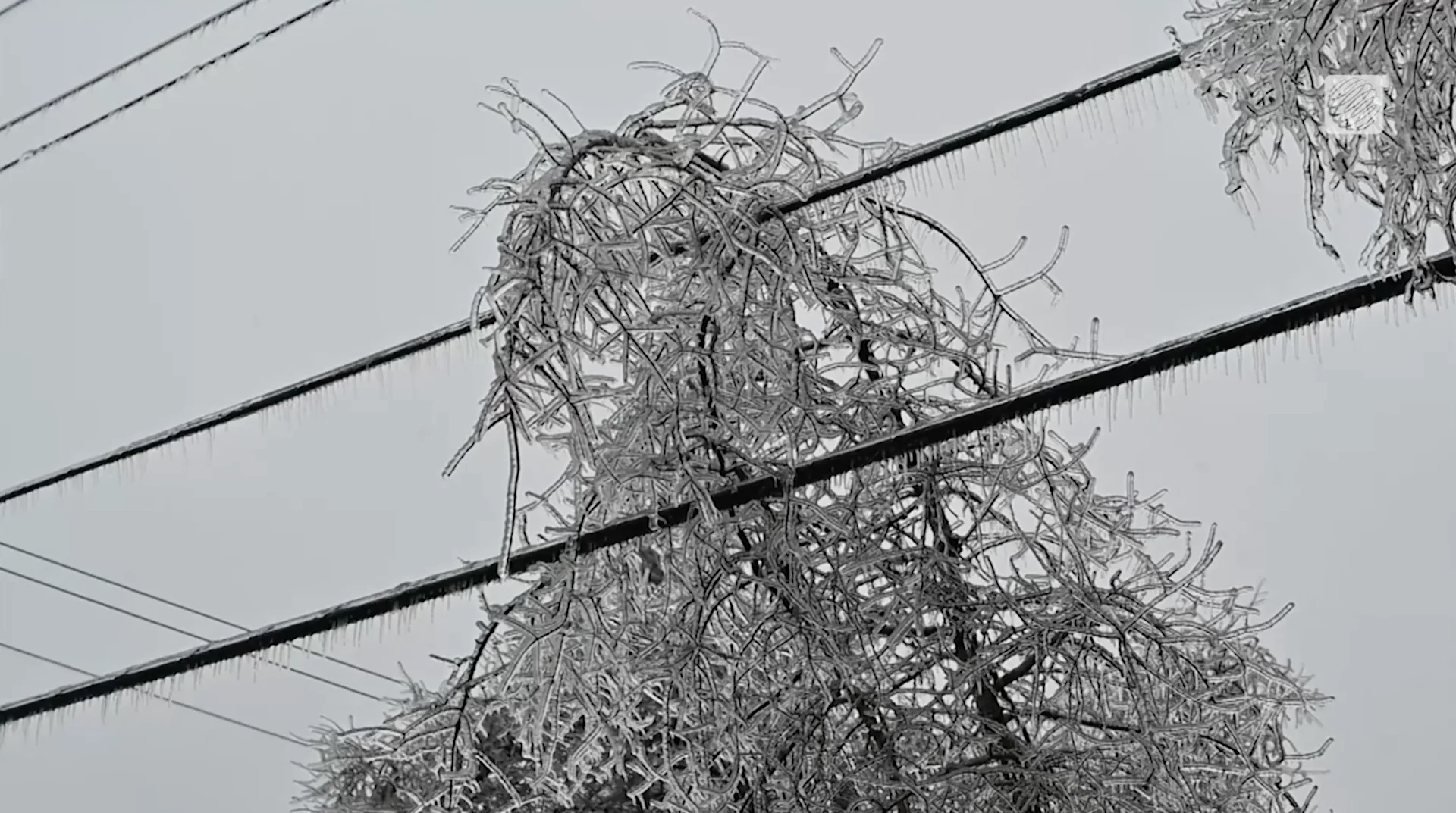 Wintry storm bringing snow, high winds to parts of Nova Scotia - The ...