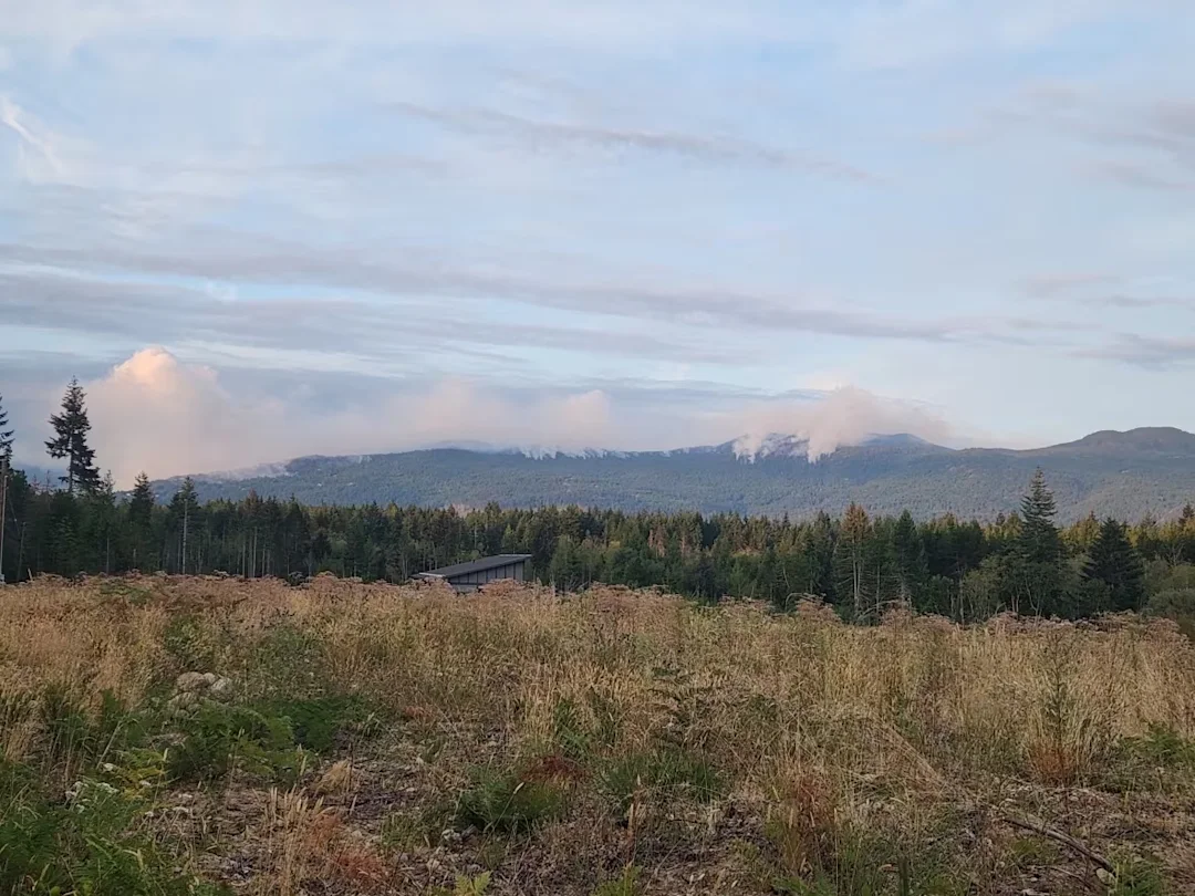 Wesley Ridge wildfire on Vancouver Island shows little growth, BCWS ...