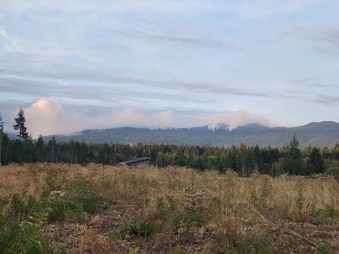 Wesley Ridge wildfire on Vancouver Island shows little growth, BCWS ...