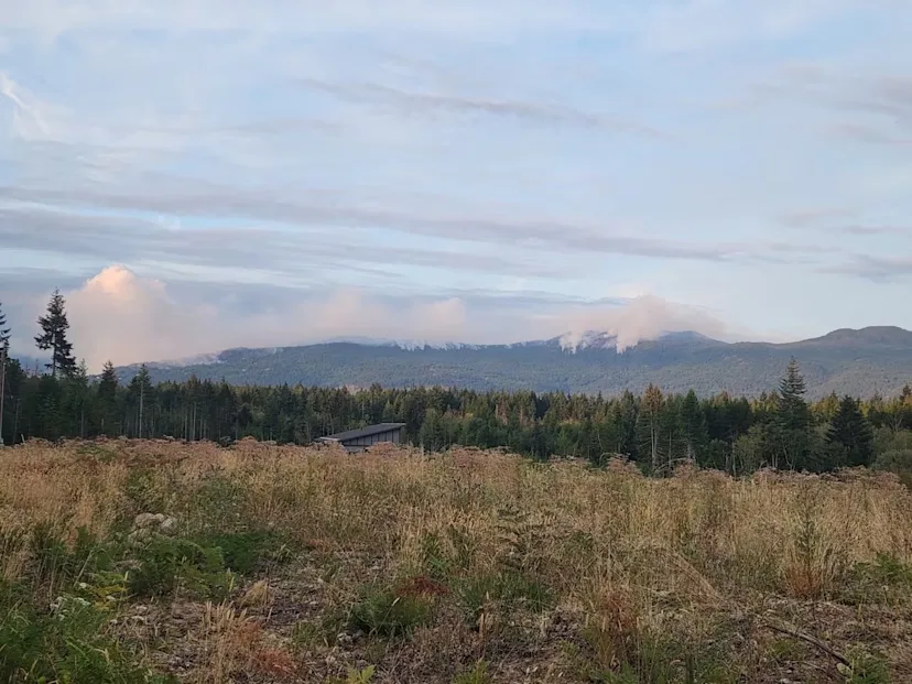 Some evacuees near Wesley Ridge wildfire on Vancouver Island expected ...