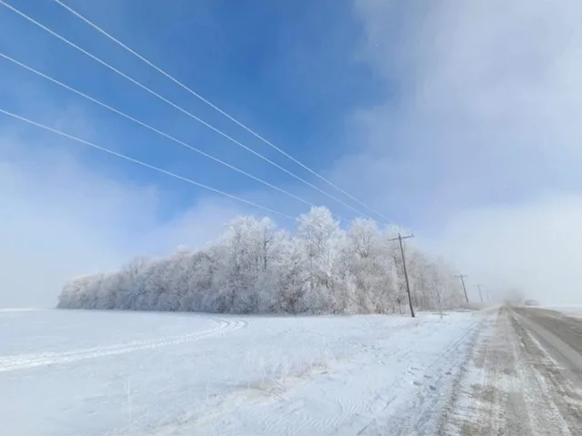The beauty (and danger) behind rime ice - The Weather Network