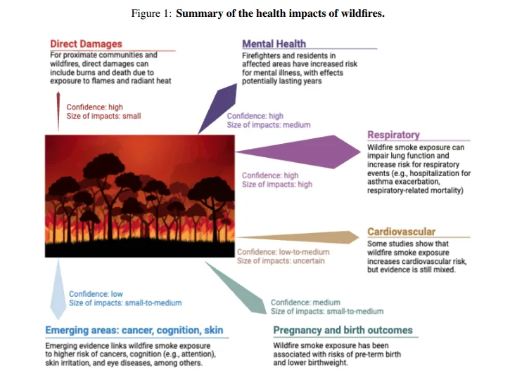 Wildfire smoke may pose risk for brain health - The Weather Network