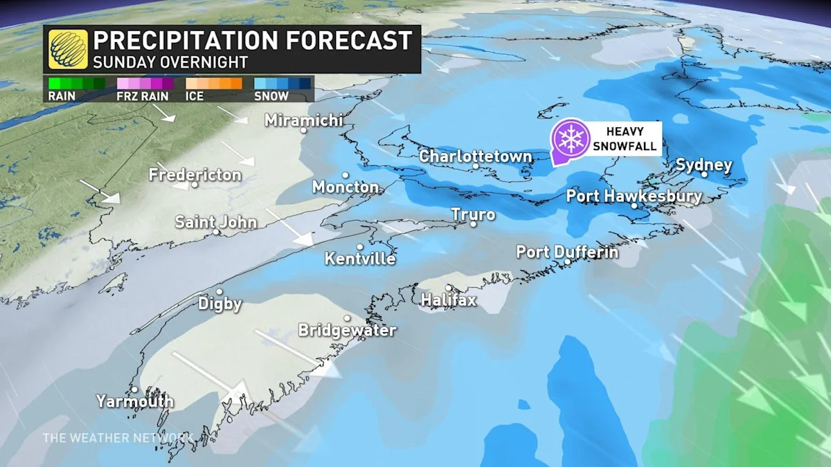 Record snowfall buries parts of Maritimes, sets sights on Newfoundland ...