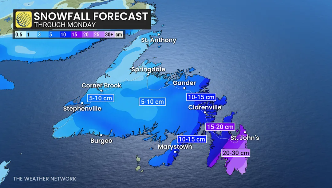 Impactful weekend snowfall, high winds aim for Newfoundland - The ...