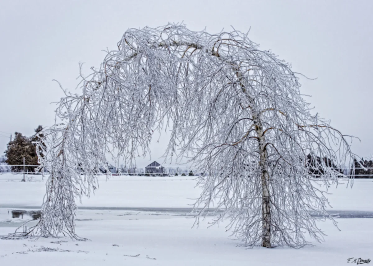 فيديوهات سكس محارم نار