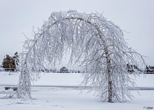 Tomorrow's Weather Calgary (Jan 26): Cold with Cloudy Skies, Light ...