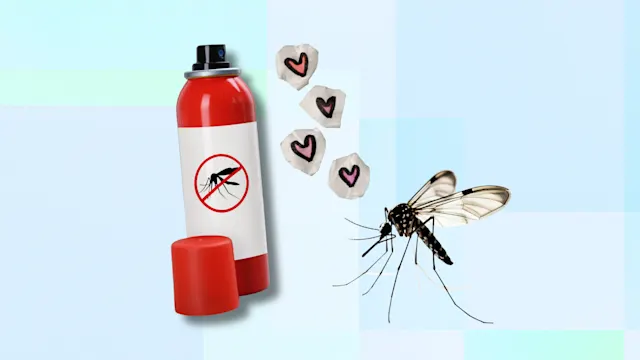 Mosquitoes may be learning to associate DEET with food - The Weather ...