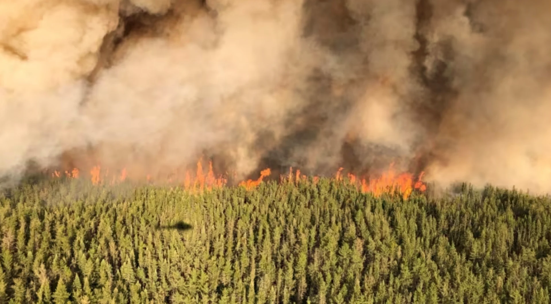 Alberta wildfire season is off to a blazing start, 57 fires burning ...