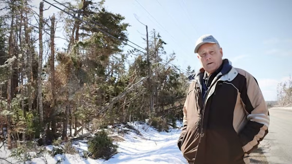 Cape Breton resident calls for more tree trimming to stop power outages ...