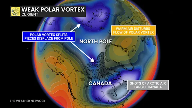 More than just bitter cold: The polar vortex can be quite beneficial ...