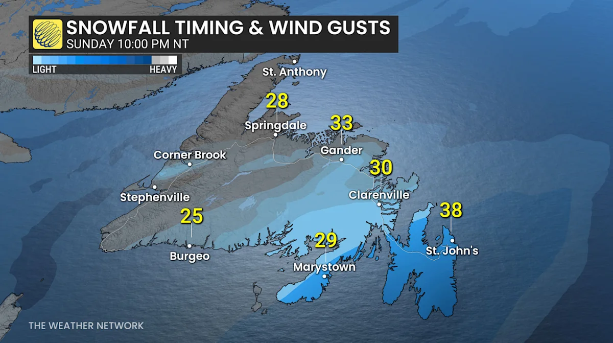 Impactful weekend snowfall, high winds aim for Newfoundland - The ...