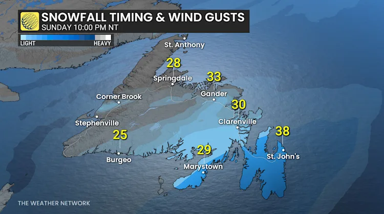 Impactful weekend snowfall, high winds aim for Newfoundland - The ...