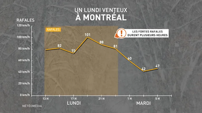 Rafales à plus 100 km/h : Montréal secoué par les forts vents - MétéoMédia