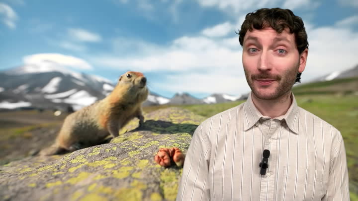 Printemps hâtif ou tardif? La marmotte risque de vous induire en erreur ...