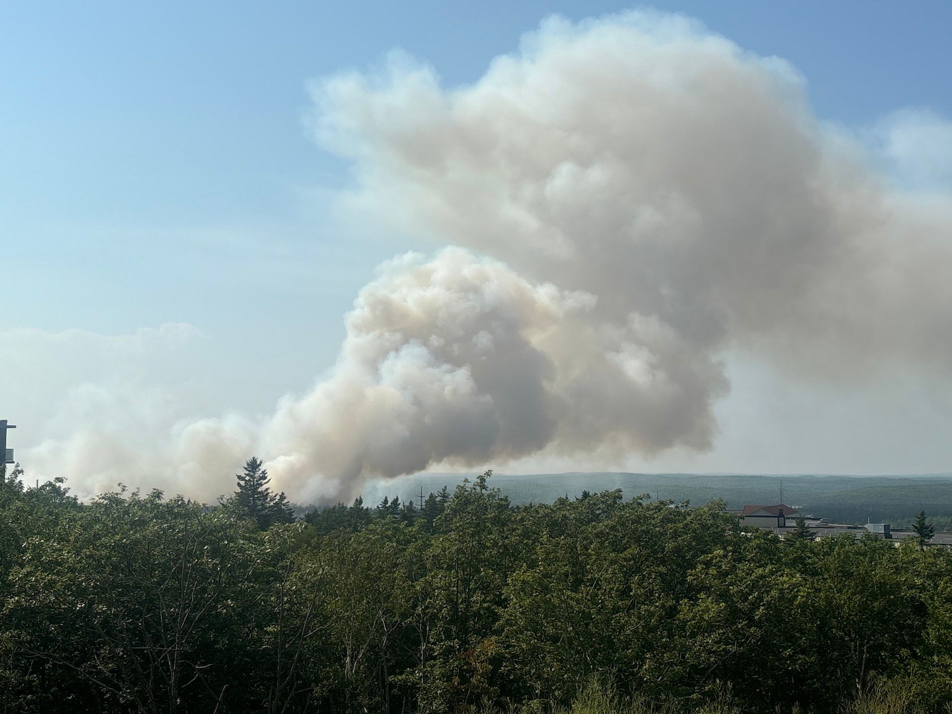 Halifax-area crews are making progress on forest fire near Bayers Lake ...